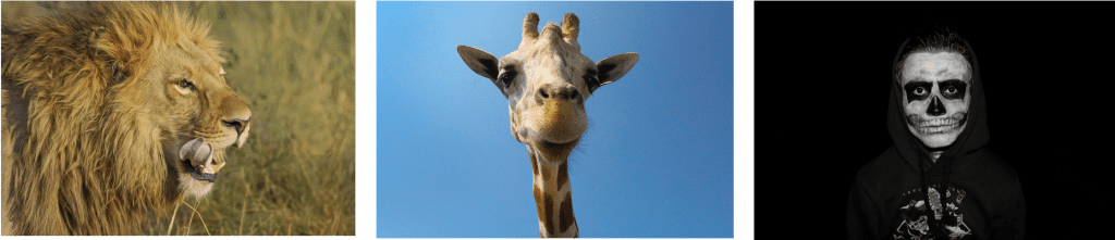 Using Uncertainty to Interpret your Model